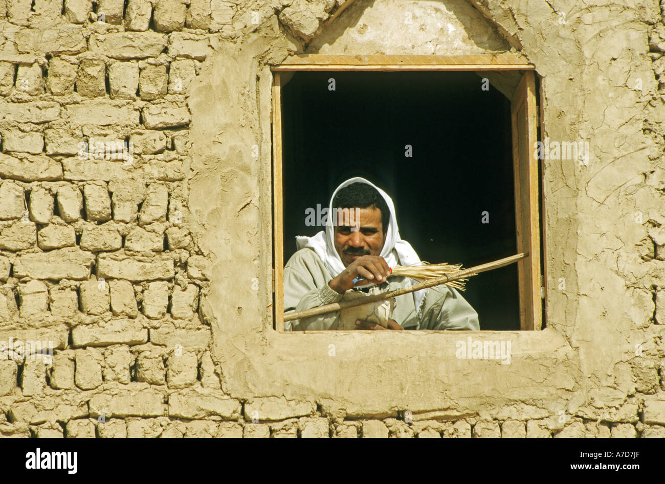 life in a oasis new valley project near by muth egypt Stock Photo - Alamy