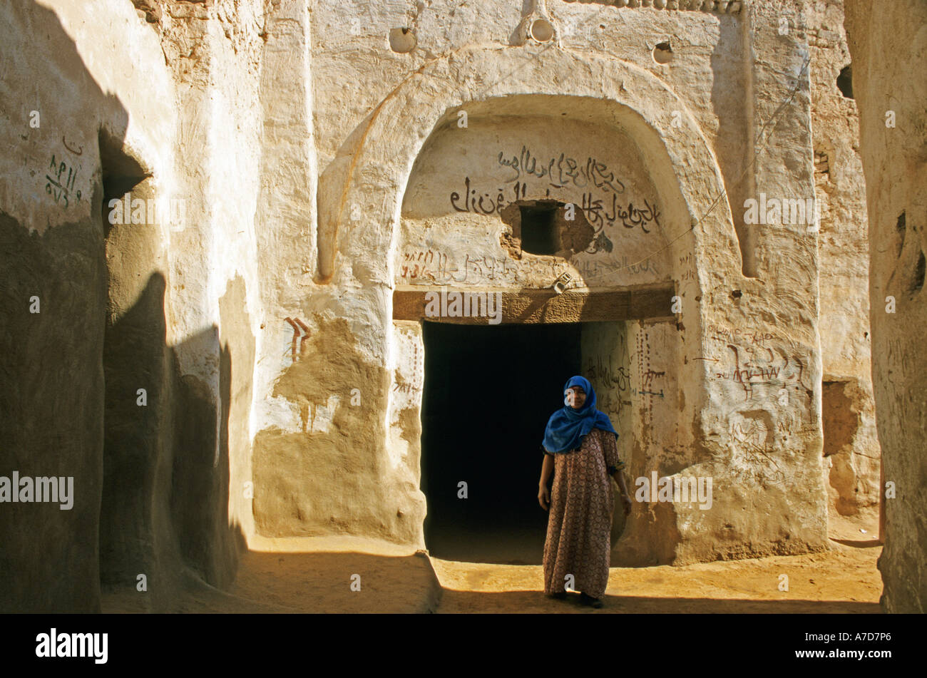 life in a oasis new valley project near by muth egypt Stock Photo - Alamy