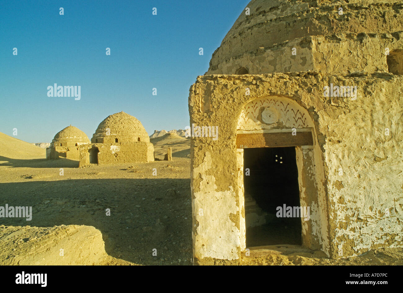 life in a oasis new valley project near by muth egypt Stock Photo - Alamy
