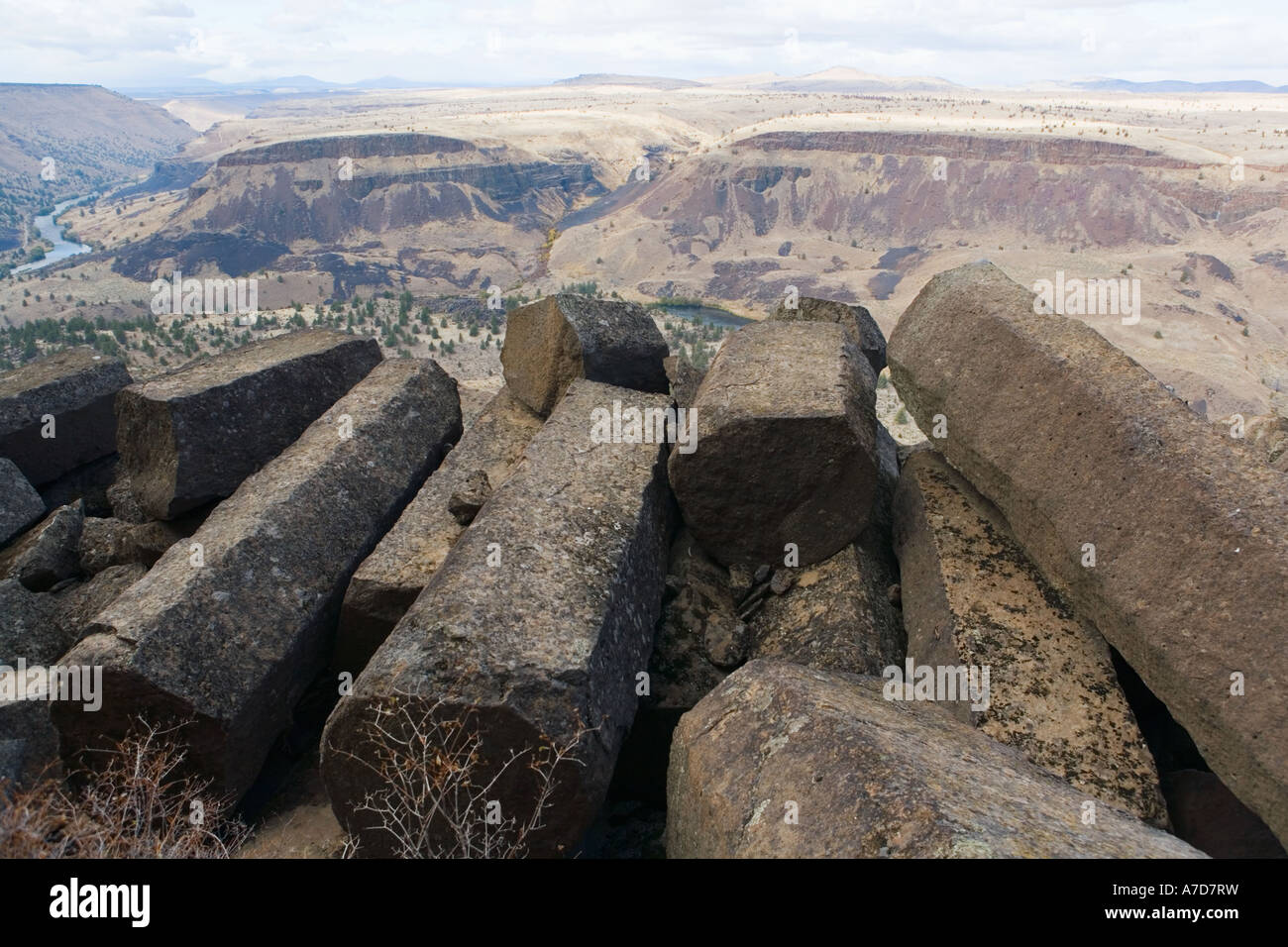 Stacked basalt columns at base of cliff in north central Oregon USA ...