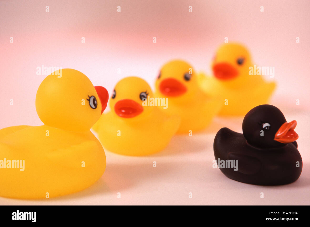 Excluse hi-res stock photography and images - Alamy