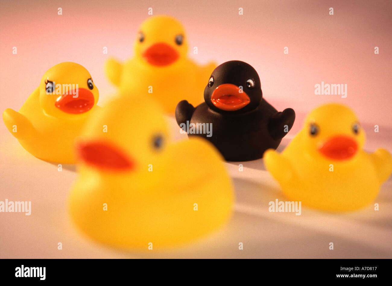 Excluse hi-res stock photography and images - Alamy