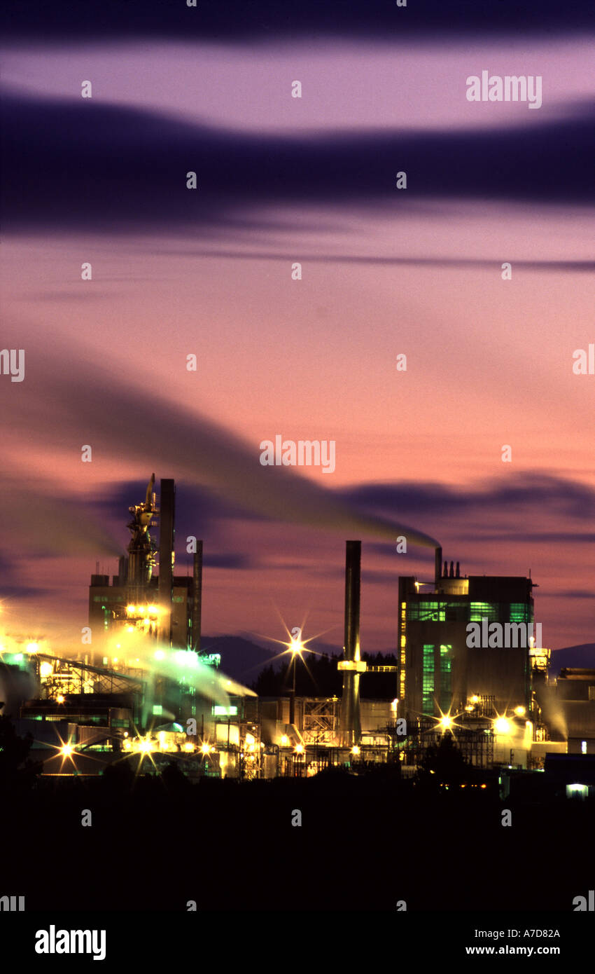 Kinleith Pulp and Paper Mill Tokoroa New Zealand Stock Photo - Alamy