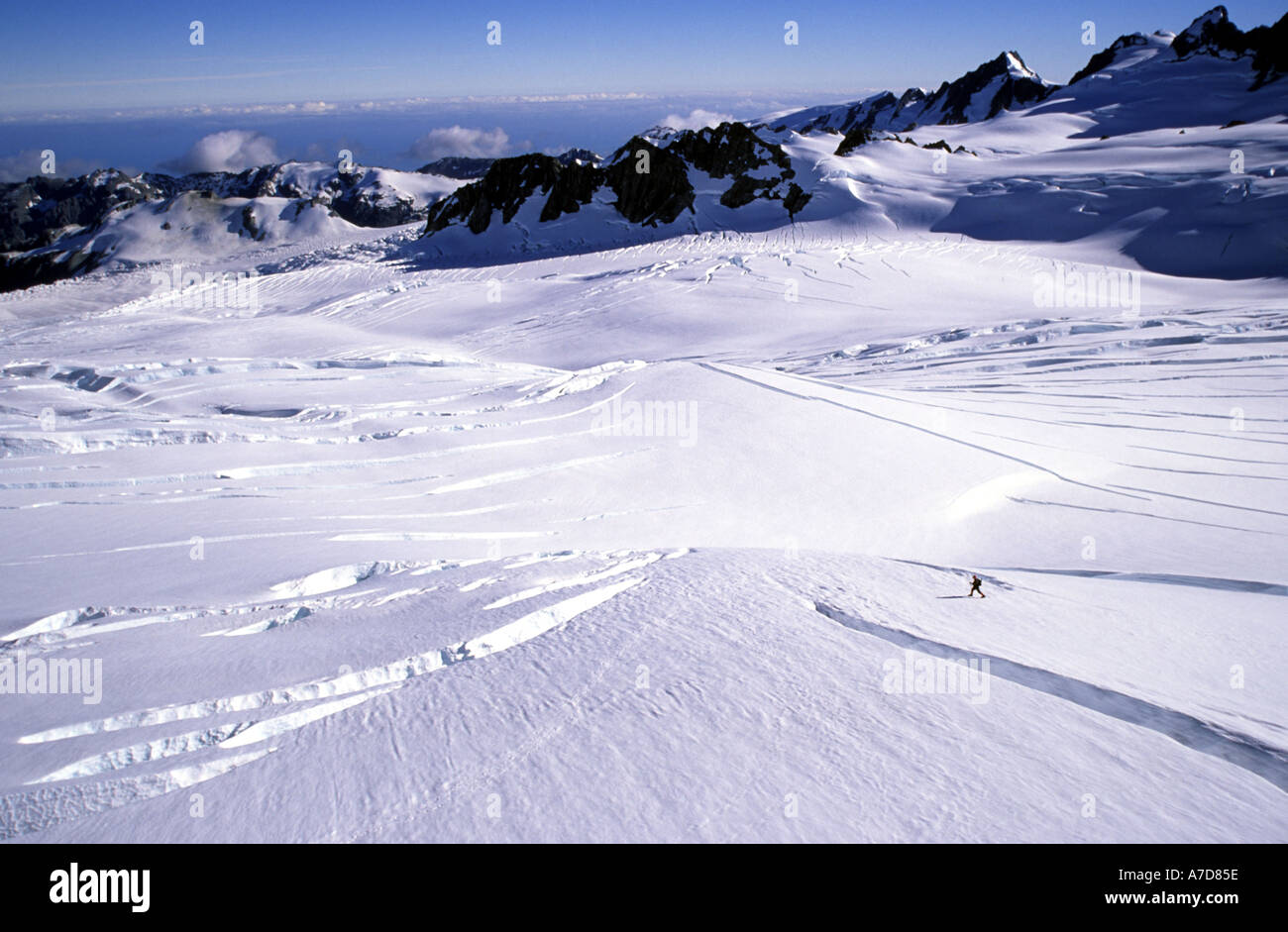 Climber crossing Albert Glacier below Mt Tasman Westland TePoutini ...