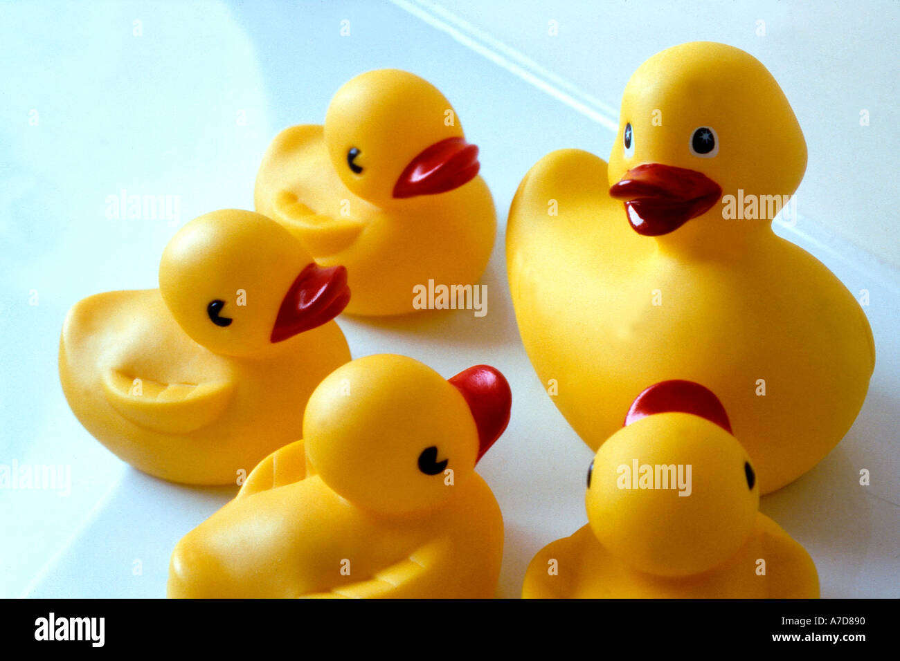 Rubber ducks in leadership hi-res stock photography and images - Alamy