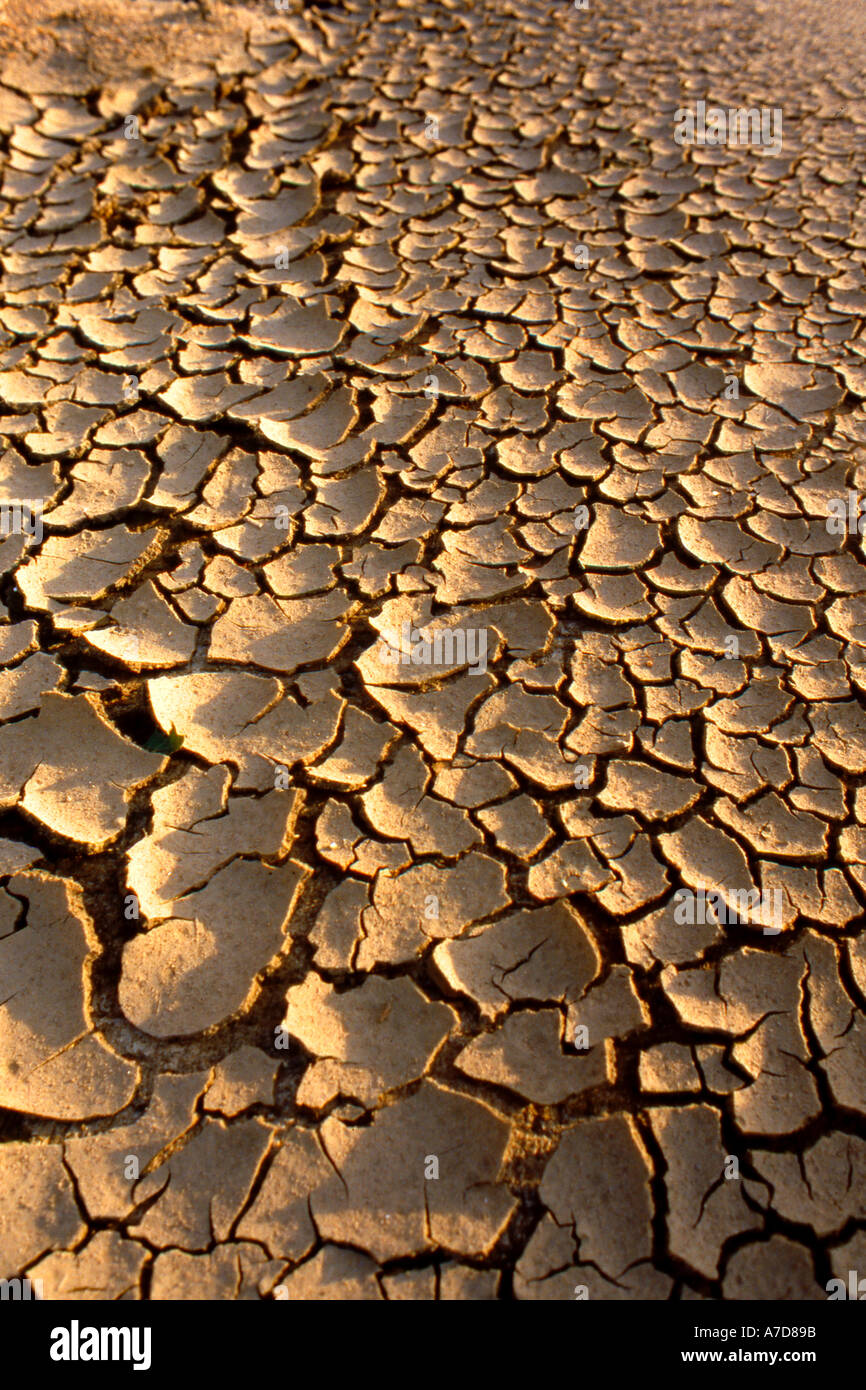 Caked dirt hi-res stock photography and images - Alamy