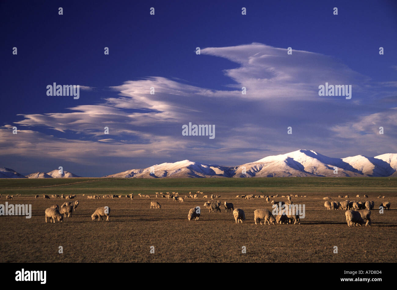 Kakanui Range High Resolution Stock Photography and Images - Alamy