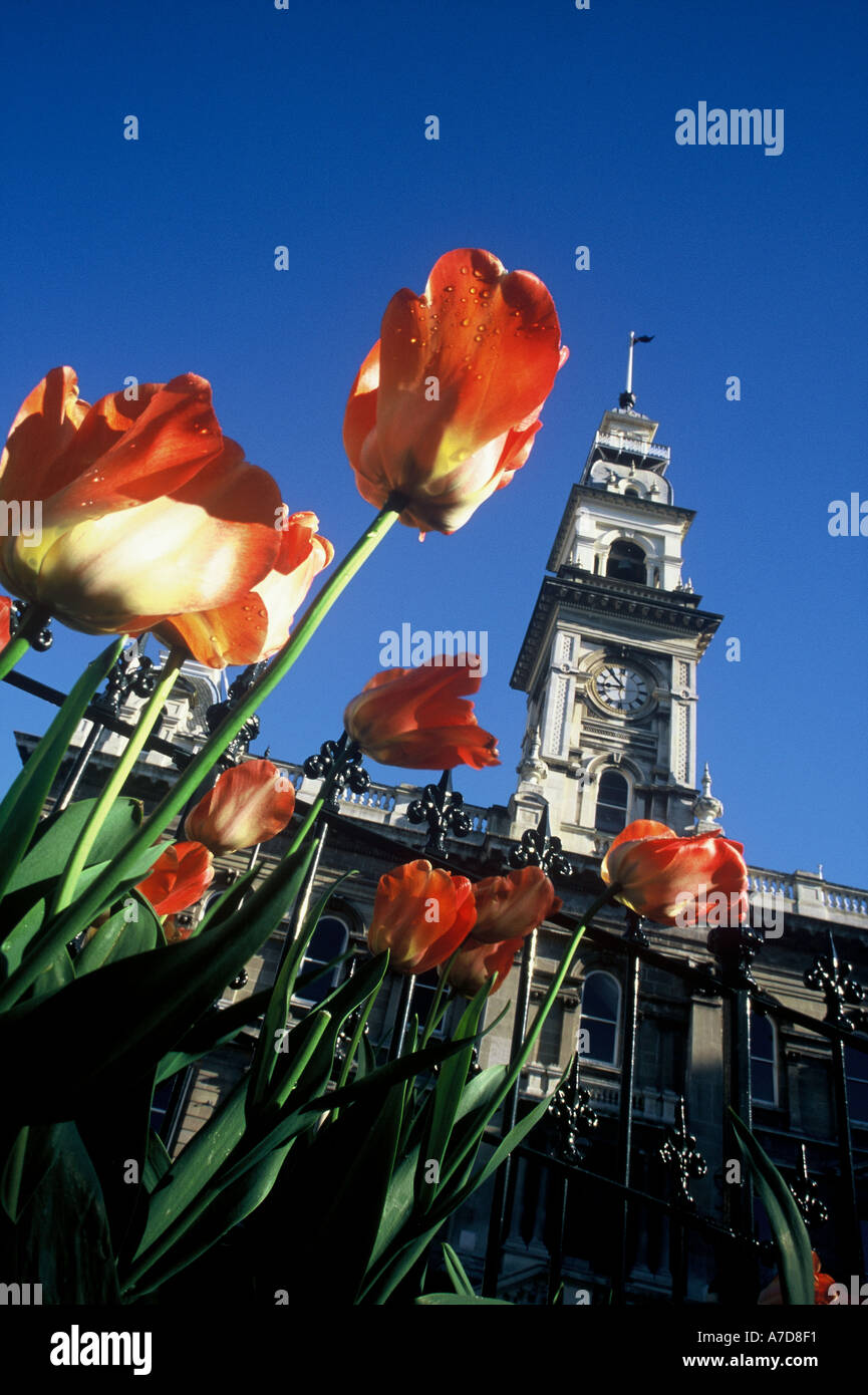 Municipal chambers clock tower hi-res stock photography and images - Alamy