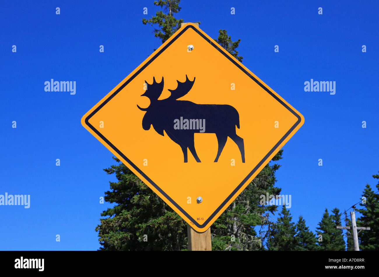 Moose crossing road sign canada hi-res stock photography and images - Alamy