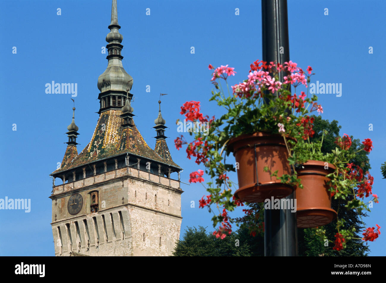 Sighisoara, Medieval Citadel, Clock Tower Stock Photo - Alamy