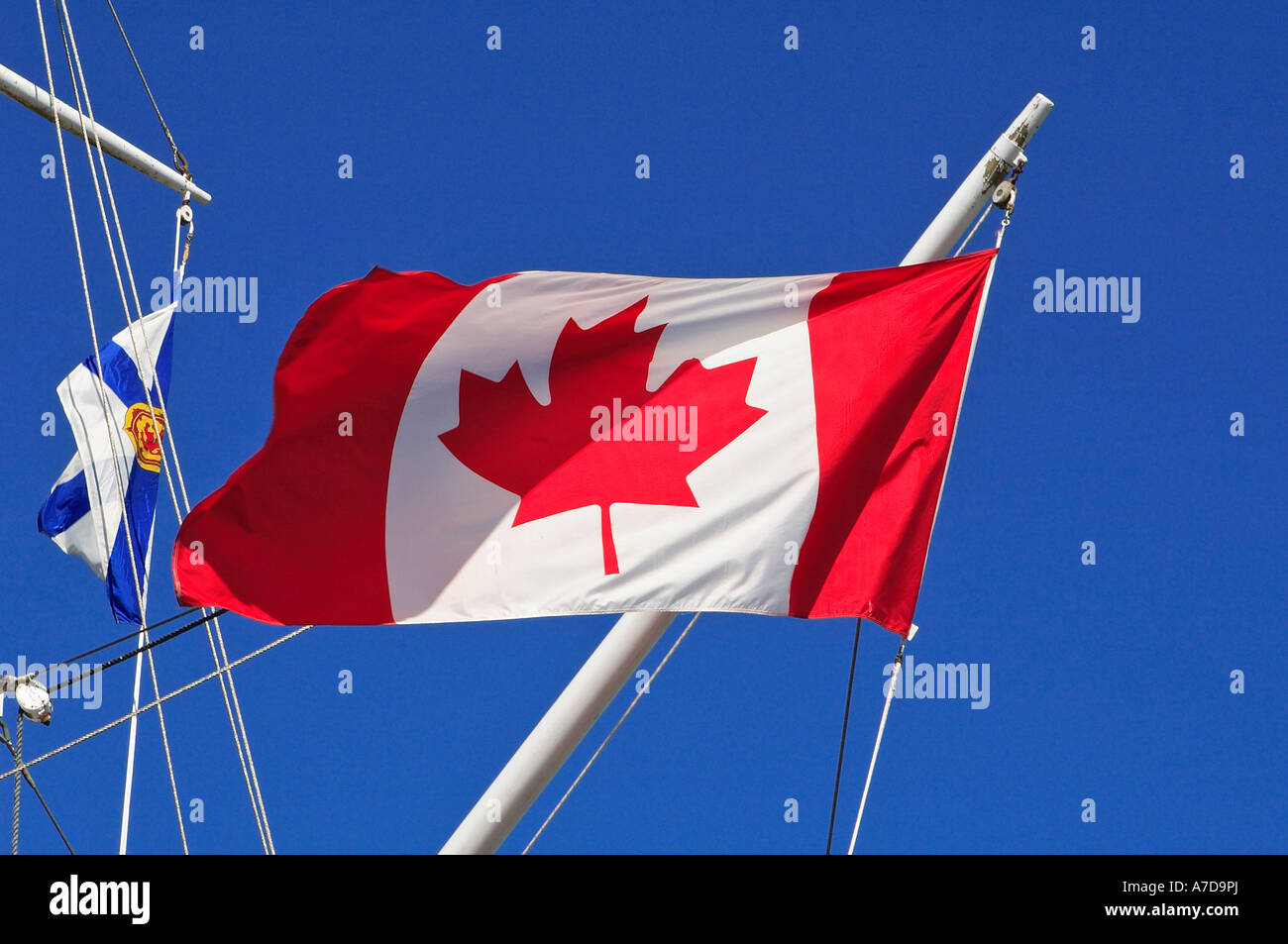 Scottish flags hi-res stock photography and images - Alamy