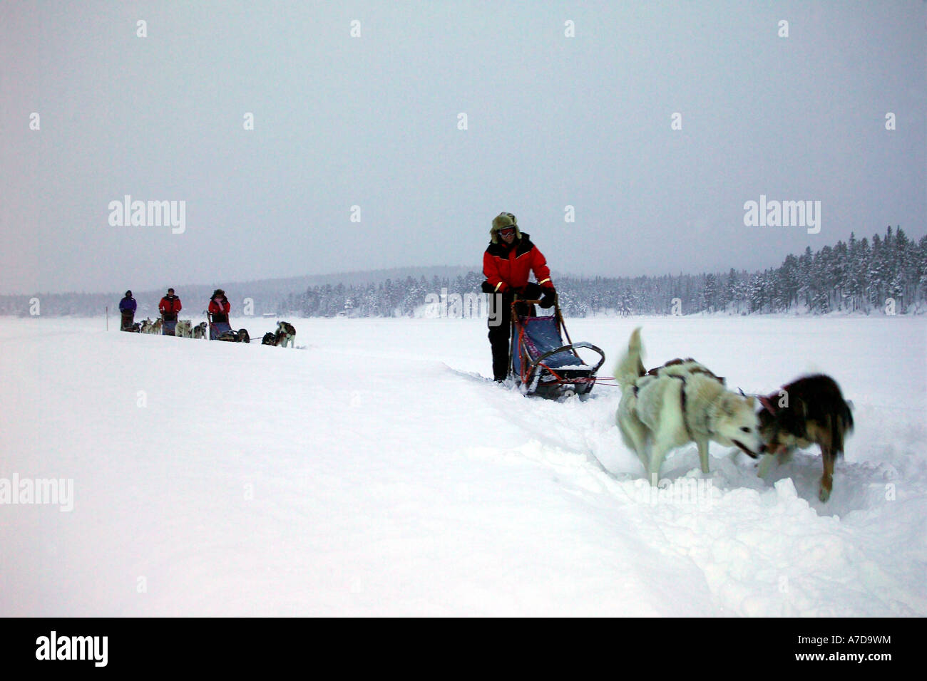 Jokkmokk sami hi-res stock photography and images - Alamy