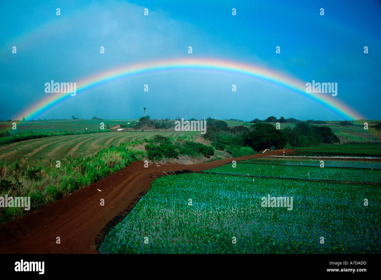 Prism Rainbow High Resolution Stock Photography and Images - Alamy