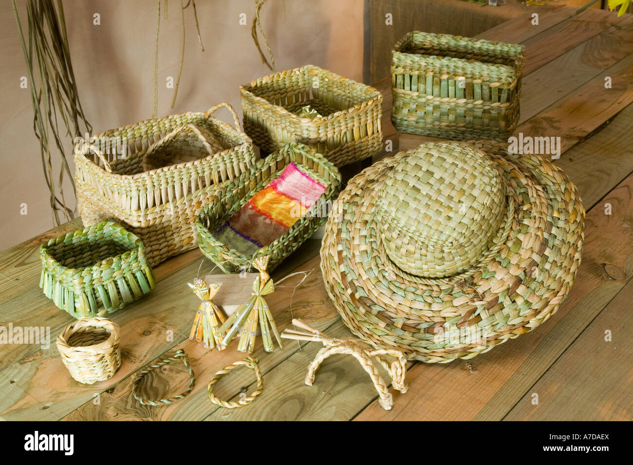 Anna Lewington making a basket with rushes harvested in a traditional ...