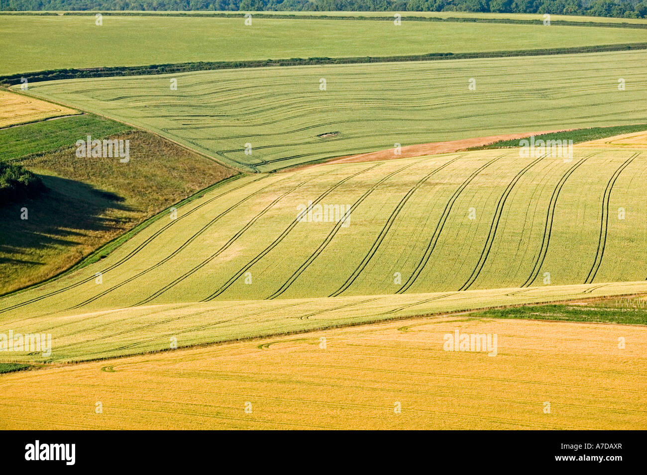 Hedgerow patchwork aerial hi-res stock photography and images - Alamy