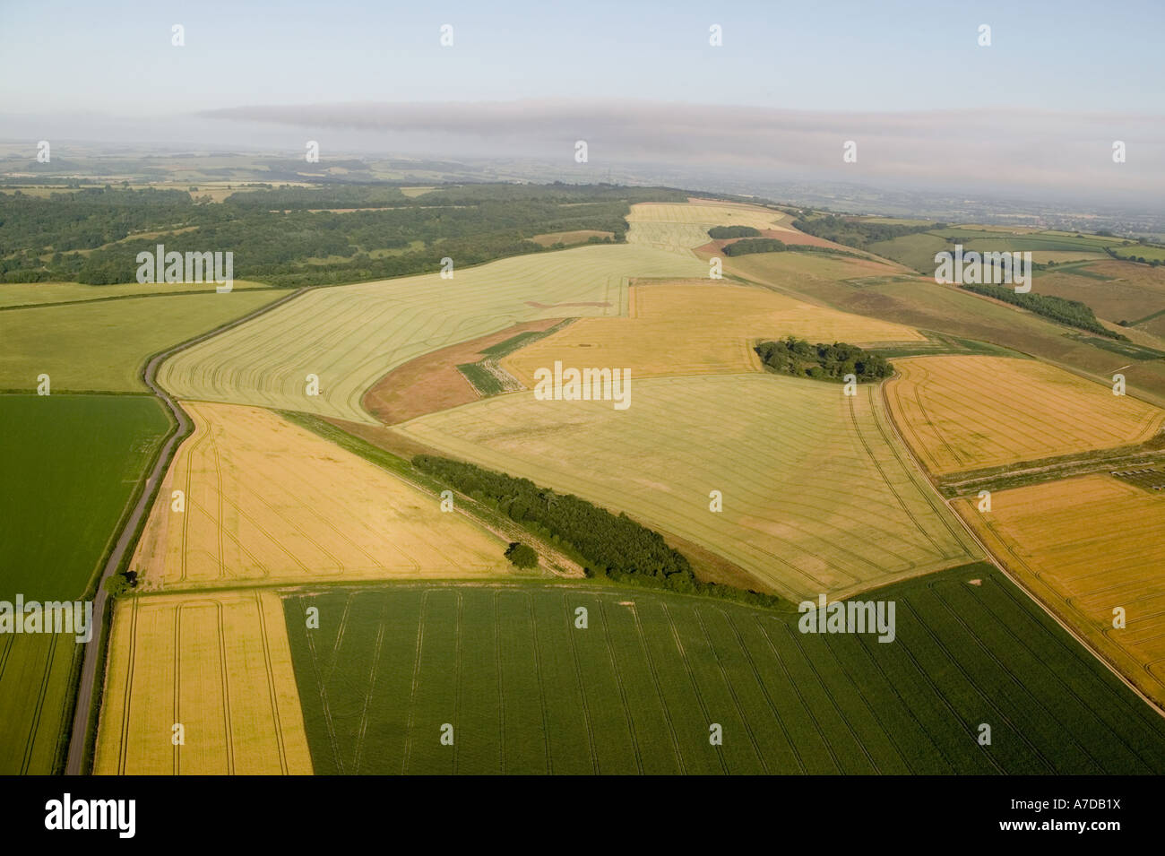 Hedgerow patchwork aerial hi-res stock photography and images - Alamy
