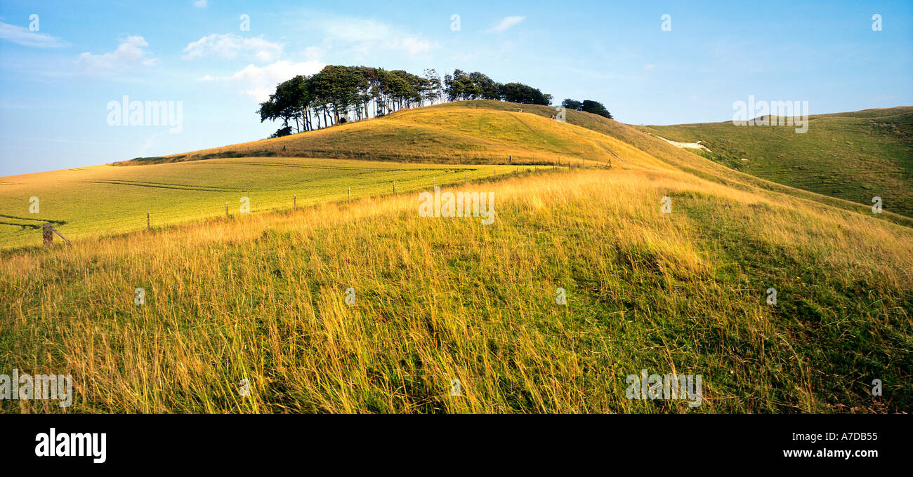 Cherhill hi-res stock photography and images - Alamy
