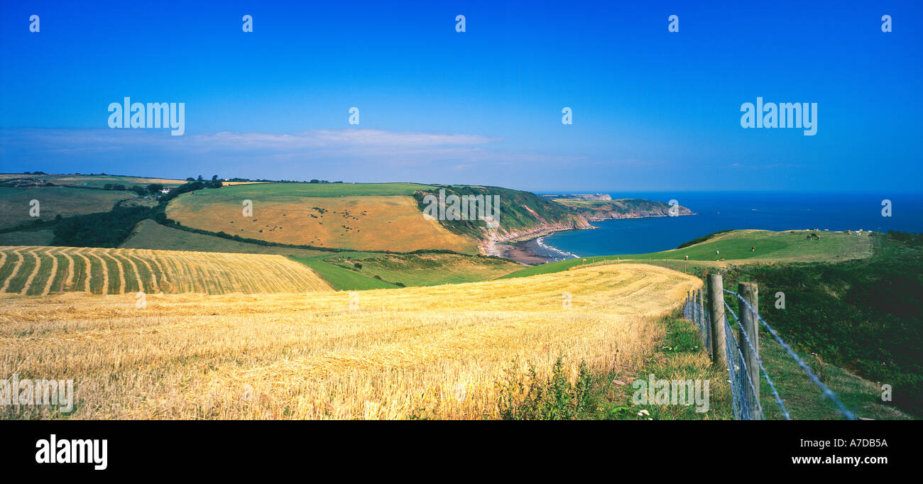 Man Sands Devon Uk High Resolution Stock Photography and Images - Alamy