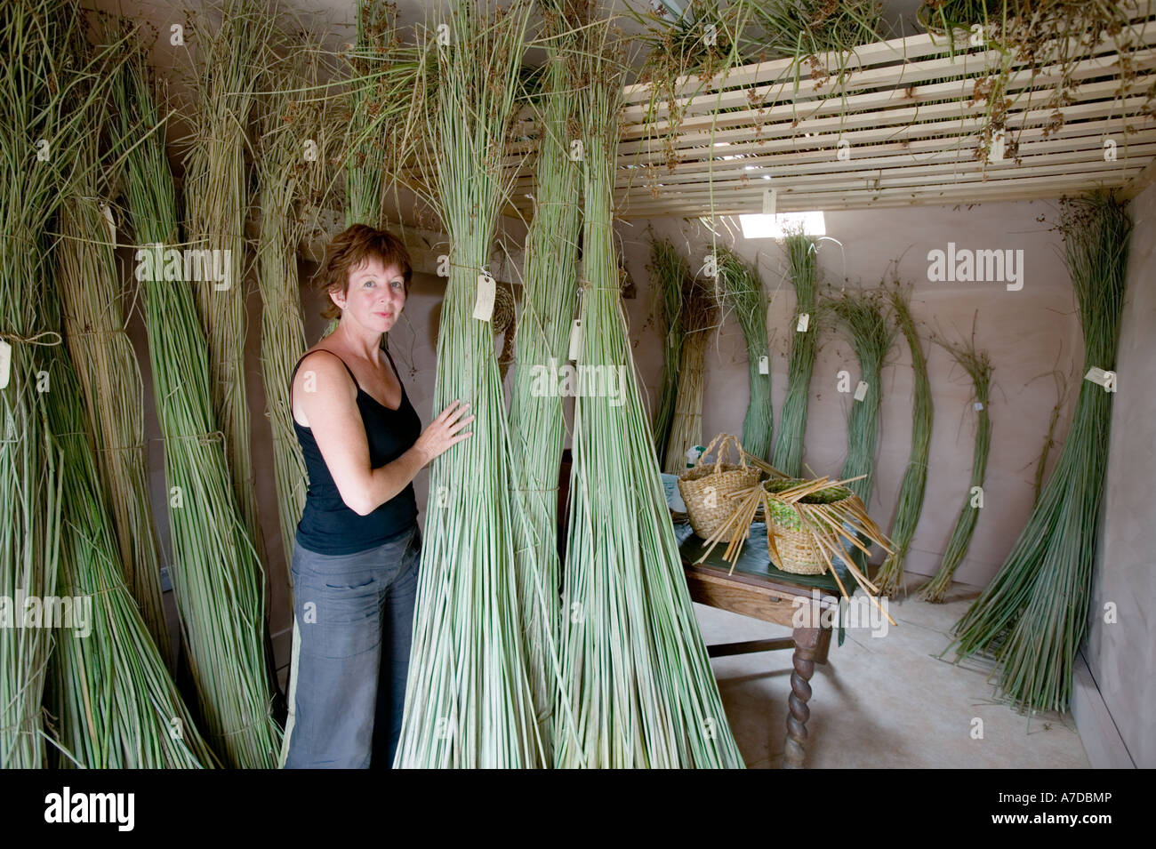 Anna Lewington with rushes harvested in a traditional and sustainable ...