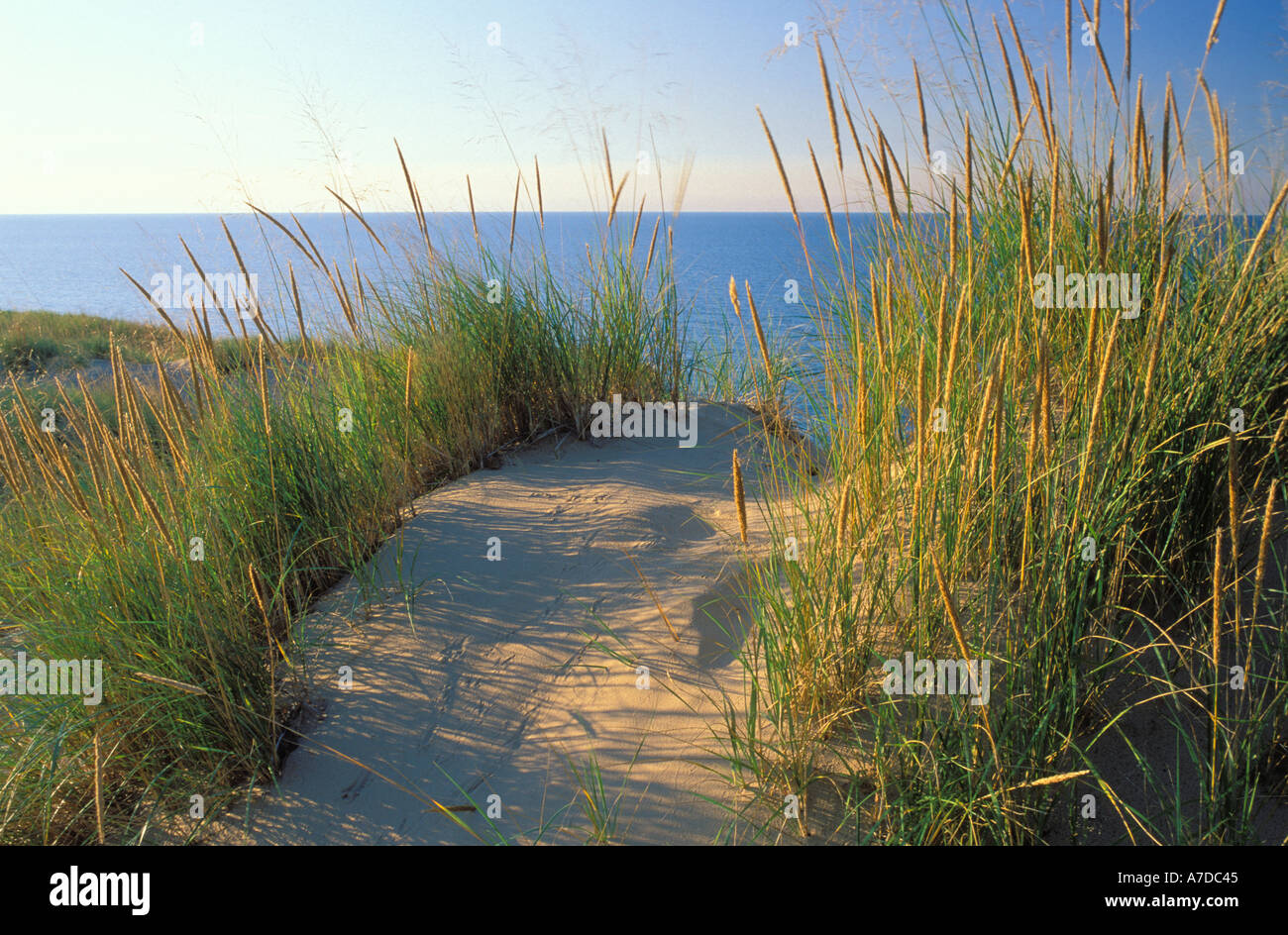Beach and grasses at Indiana Dunes National lakeshore Indiana Stock ...