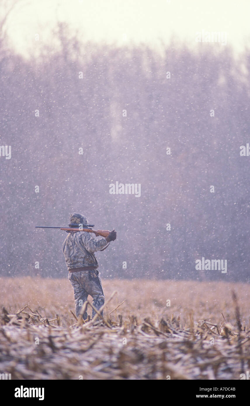 Hunter with a rifle in a corn field during an early snowfall Illinois ...