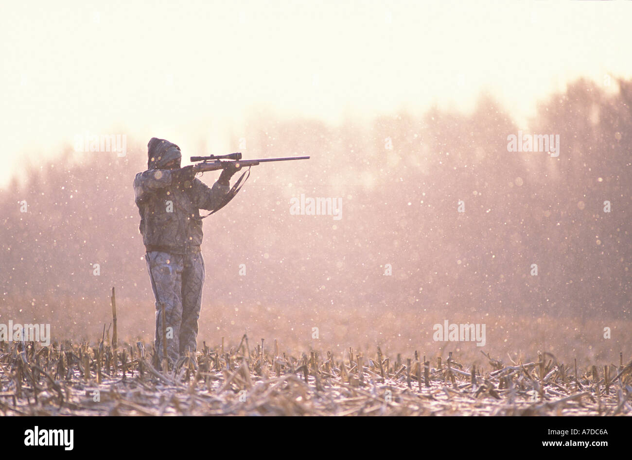 Early man hunting hi-res stock photography and images - Alamy