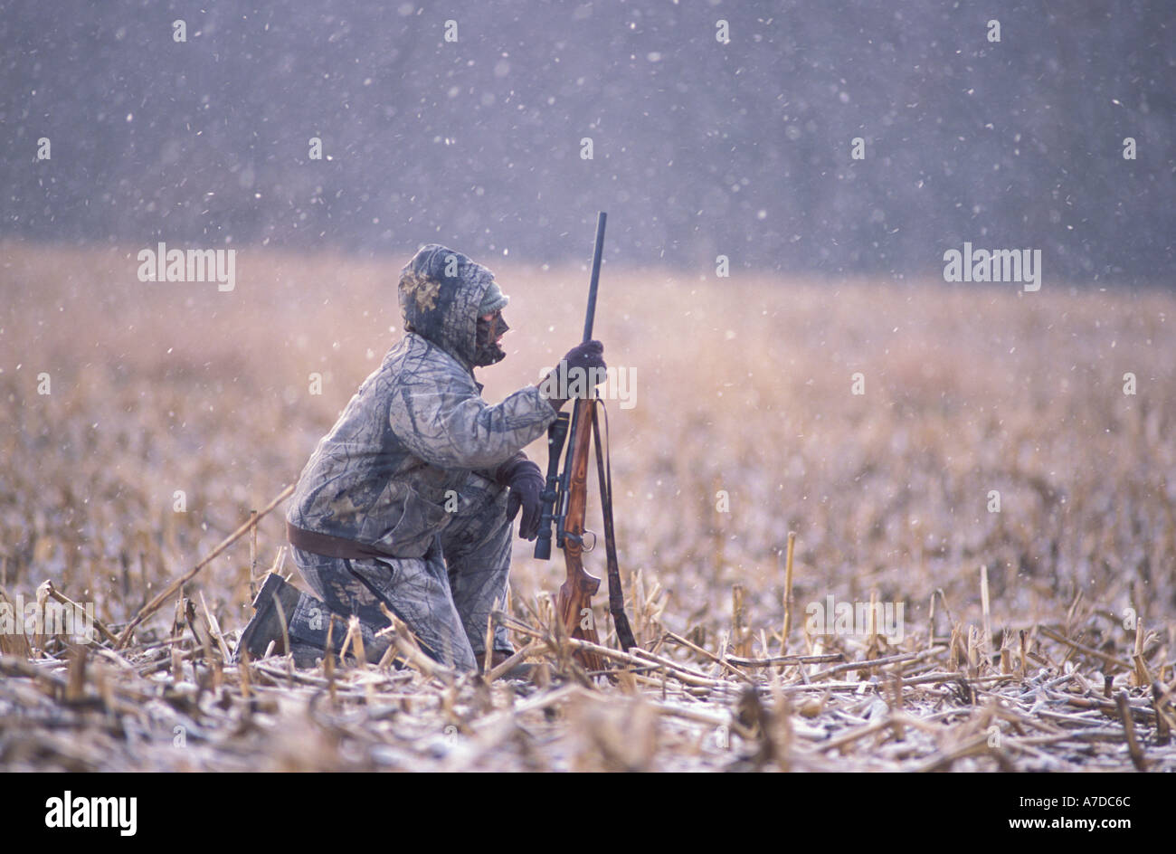 Hunting rifle and scope hi-res stock photography and images - Alamy