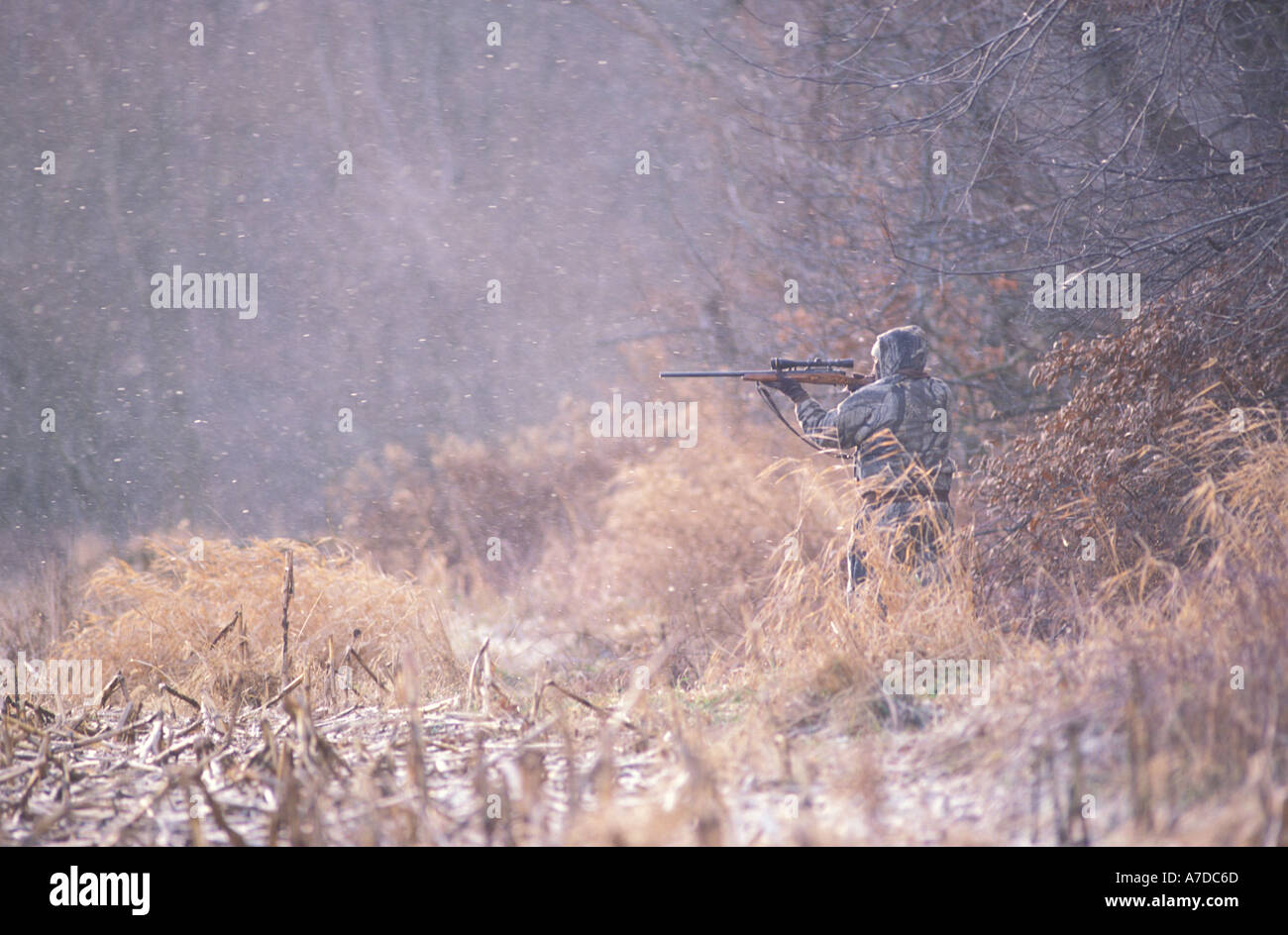 Hunter with a rifle in a corn field during an early snowfall Illinois ...