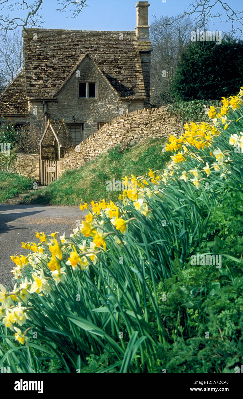 Spring in the Cotswolds with daffodils Stock Photo - Alamy