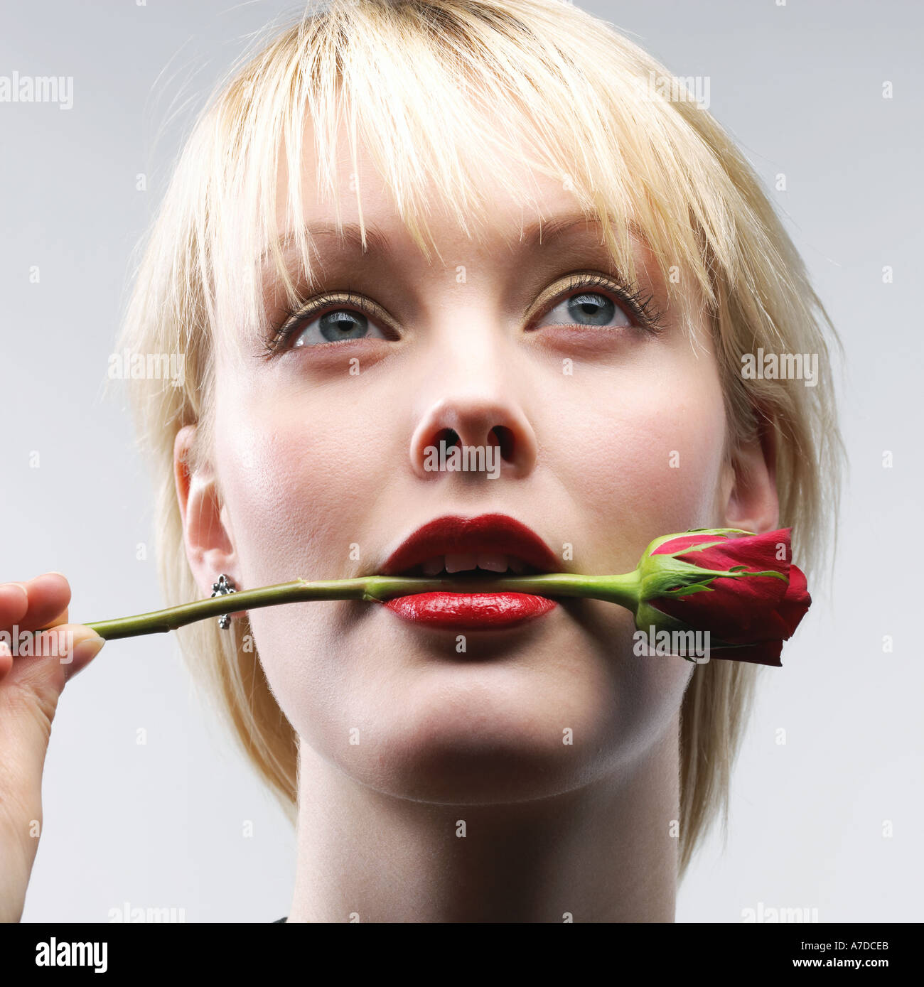 PRETTY BLONDE HOLDING SINGLE RED ROSE IN TEETH Stock Photo - Alamy
