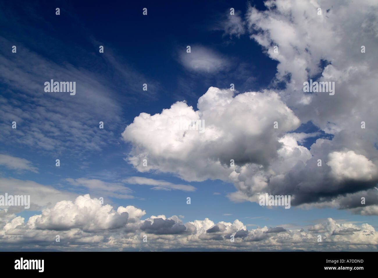 Blue sky with cumulus clouds Stock Photo - Alamy