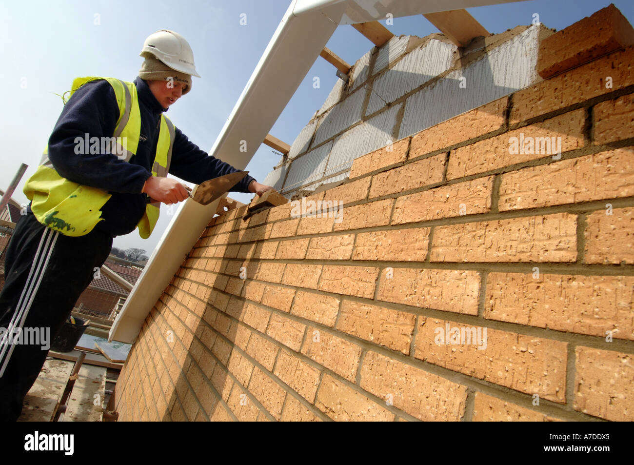 Trainee bricklayer completes a wall on a new housing estate Stock Photo ...