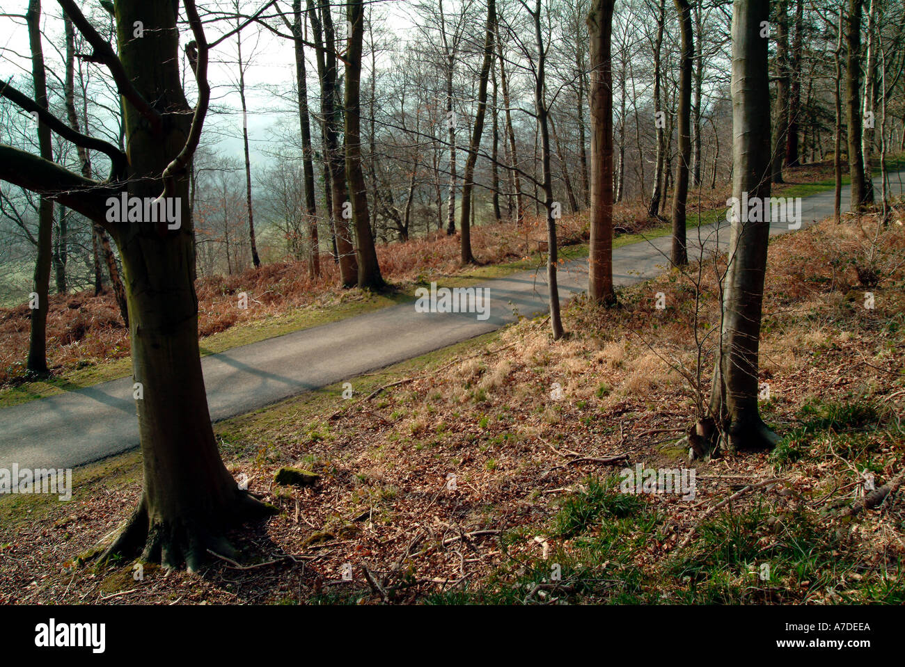 Wood track hi-res stock photography and images - Alamy