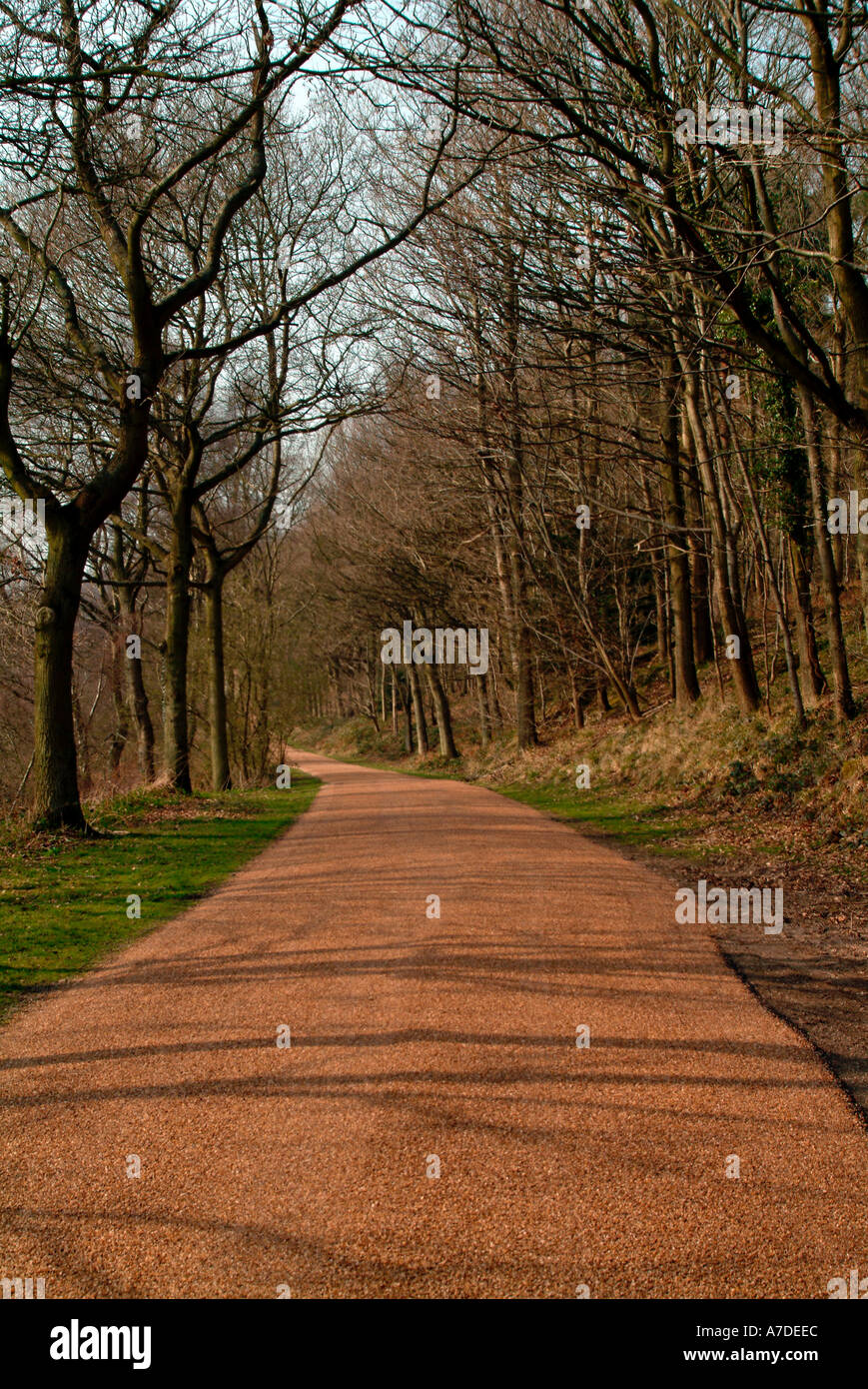 Wood track hi-res stock photography and images - Alamy