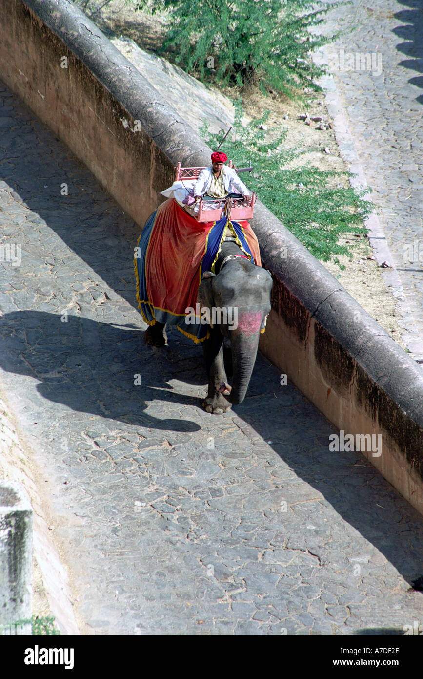 Elephant Amber Fort Jaipur India Stock Photo - Alamy