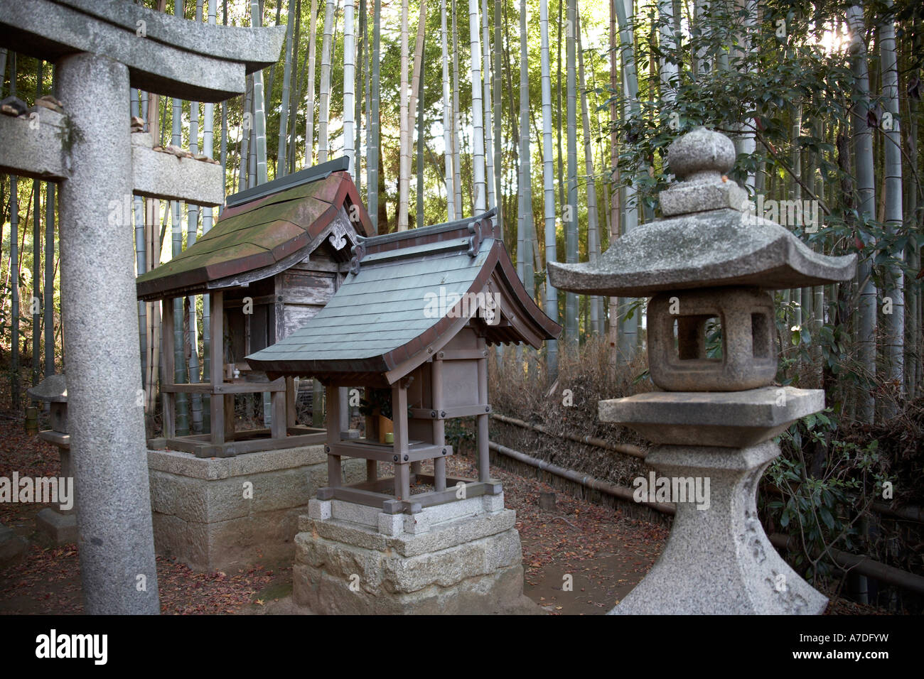 Hilltop buddhist shrines among bamboo grove in Shoren in temple city of ...