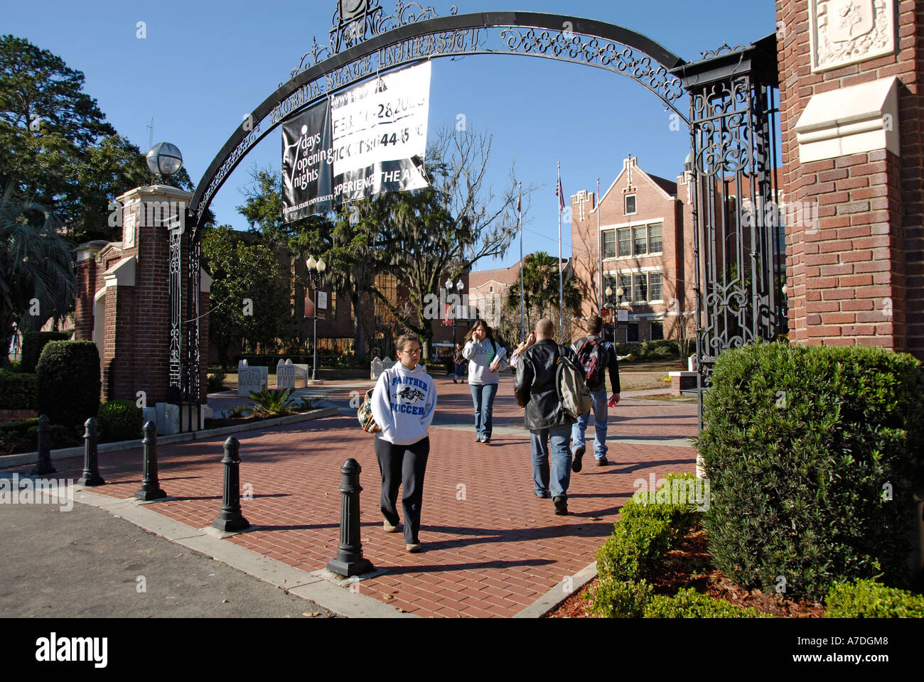 Westcott Building and Ruby Diamond Auditorium Florida State University ...