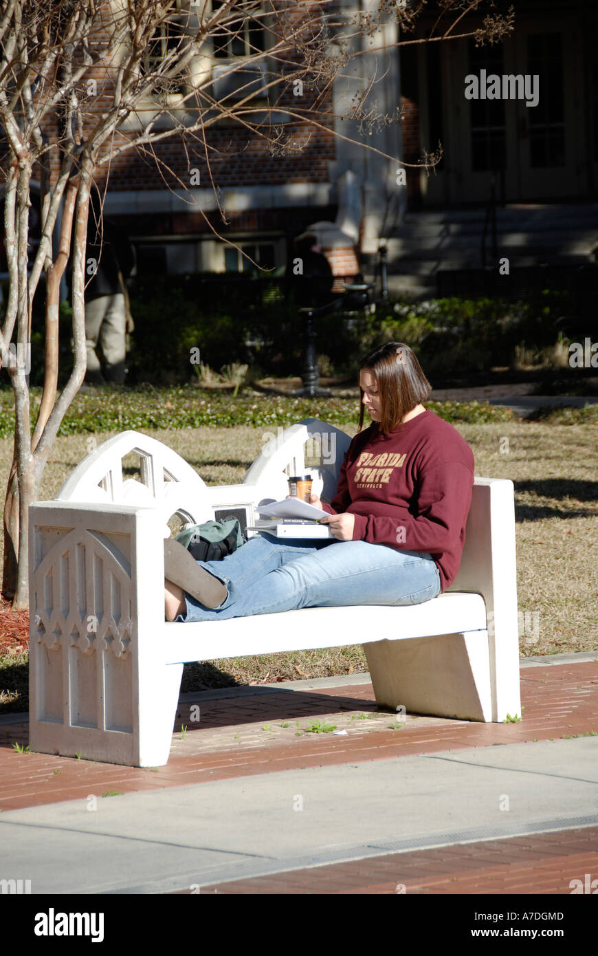 Female student reading book at Florida State University Campus ...
