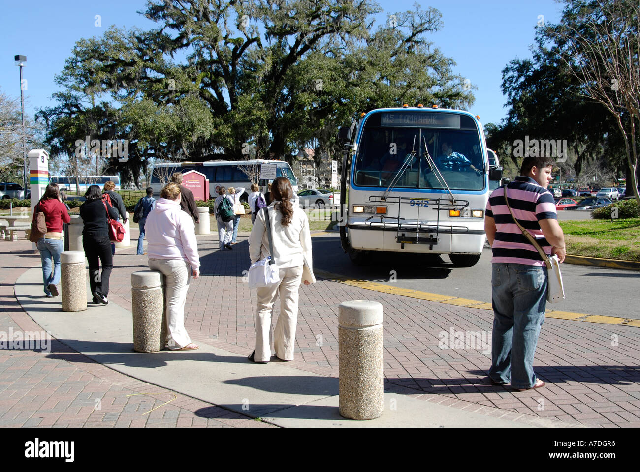 Students wait for public bus transportation on the Florida State ...
