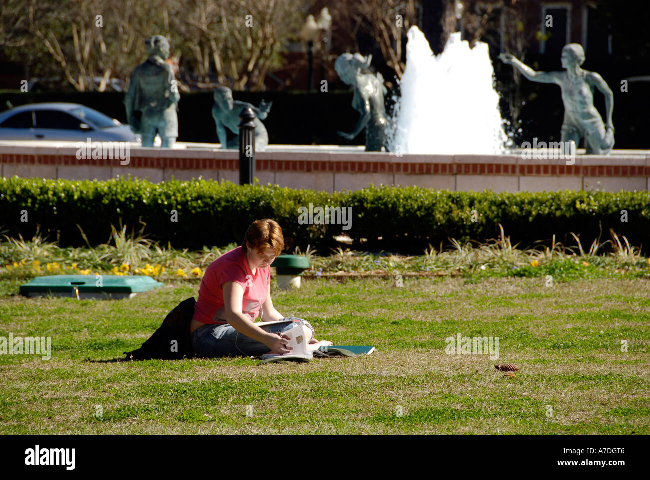 Student studies outside between classes on the Florida State University ...