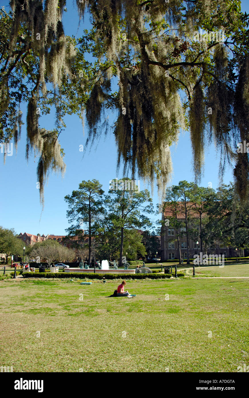 Interpretation classroom hi-res stock photography and images - Alamy