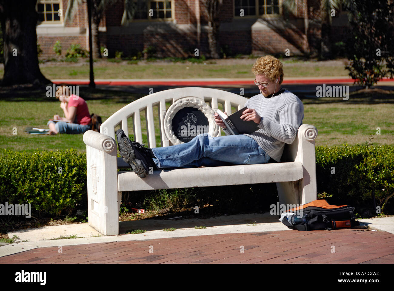 Student studies outside between classes on the Florida State University ...