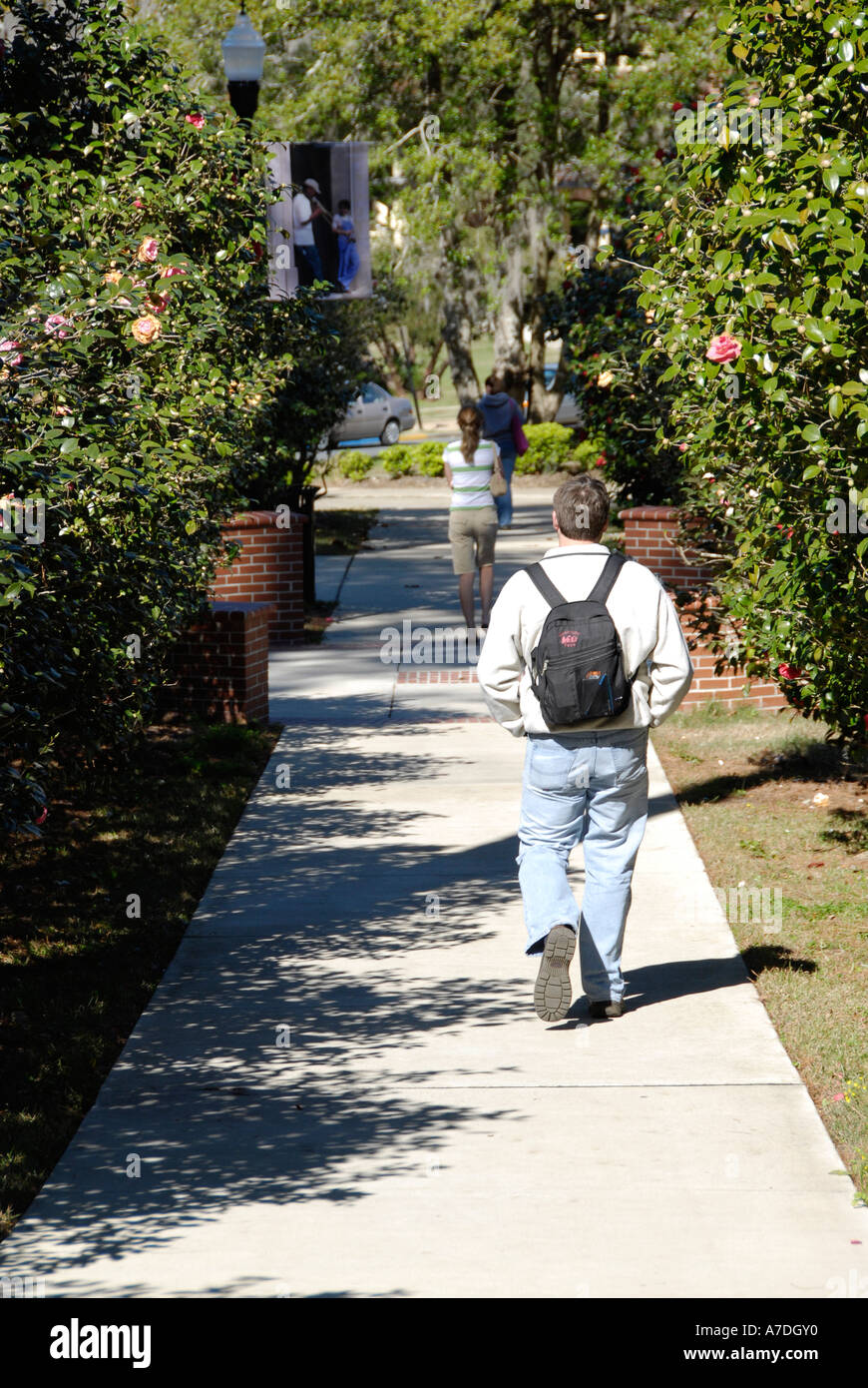Student activities on the Florida State University Campus Tallahassee ...