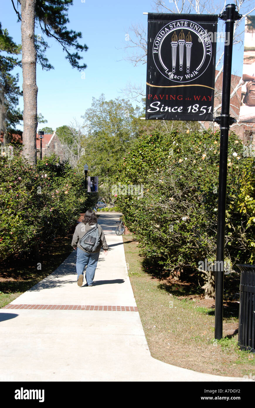 Student activities on the Florida State University Campus Tallahassee ...