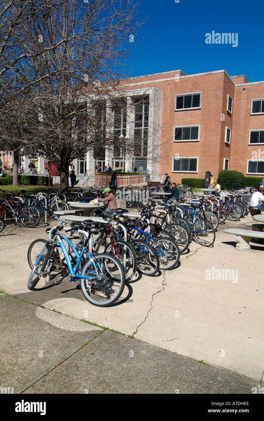 Robert Manning Strozier Library on the Florida State University Campus ...