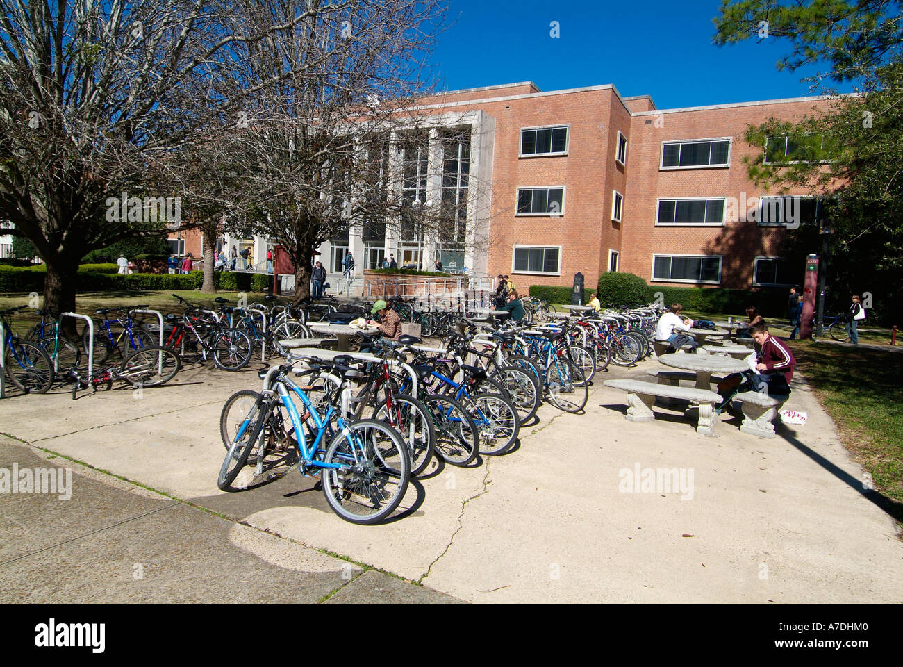 Robert Manning Strozier Library on the Florida State University Campus ...