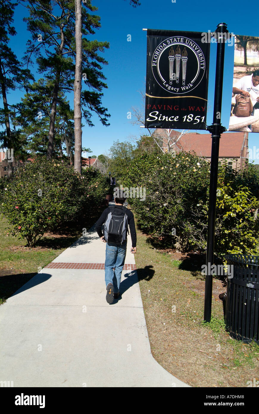 Florida state university campus hi-res stock photography and images - Alamy