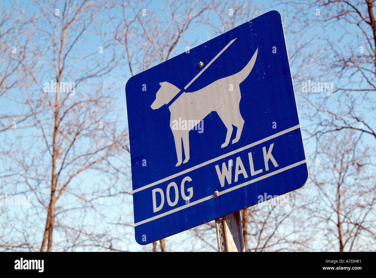 Showing a dog hi-res stock photography and images - Alamy