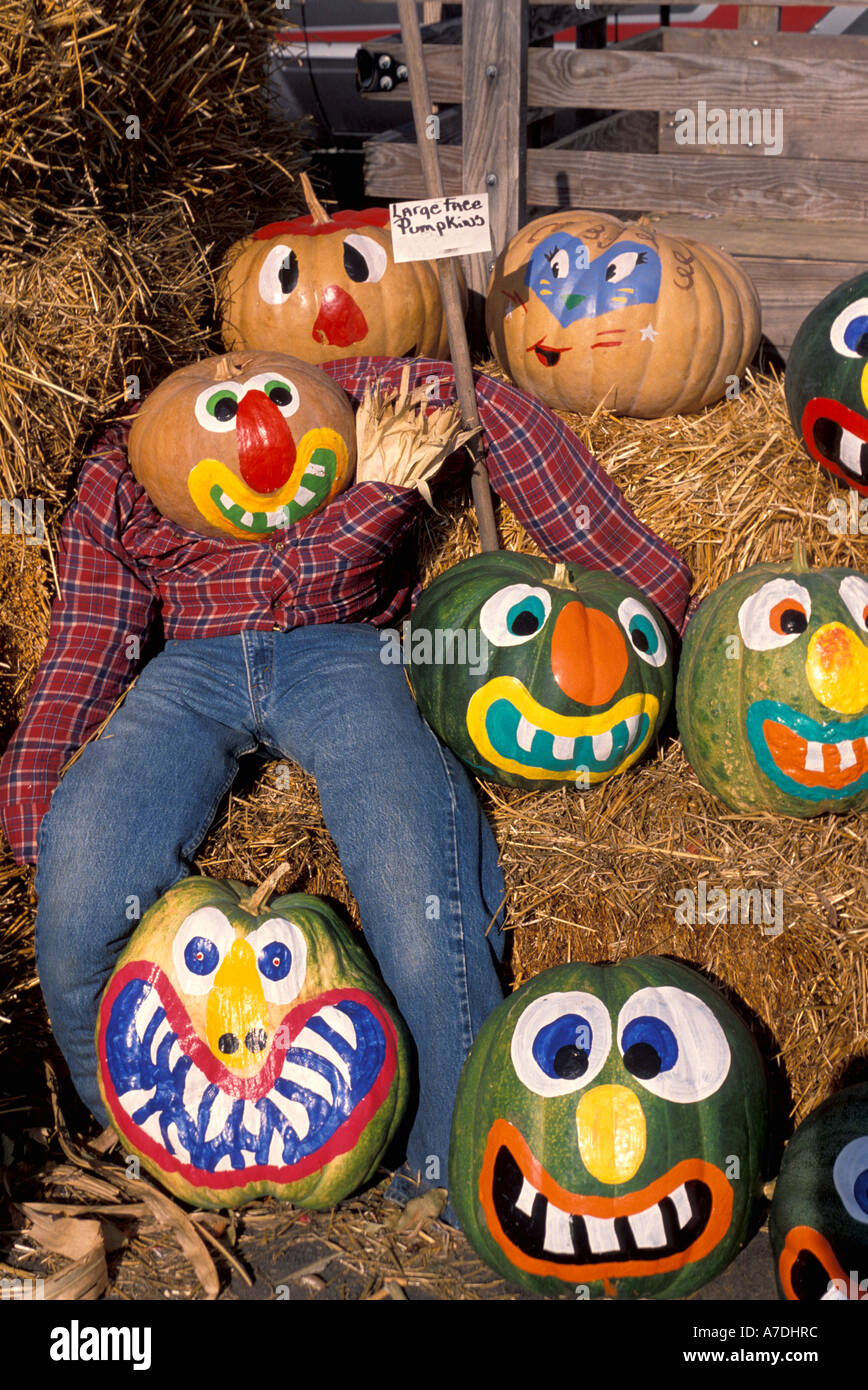 Halloween pumpkins painted faces Fall Colors Stock Photo - Alamy