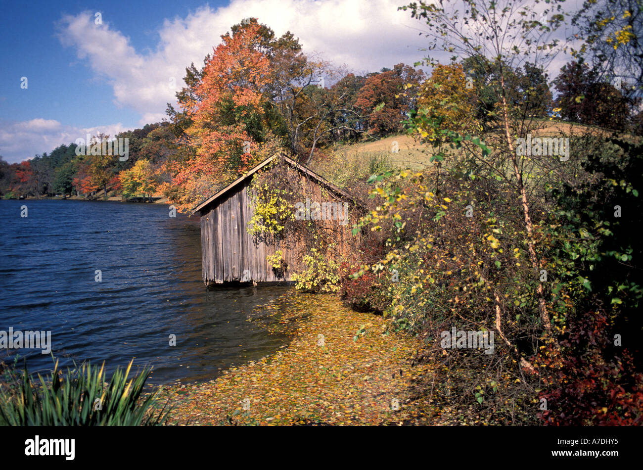 Carolina colors hi-res stock photography and images - Alamy